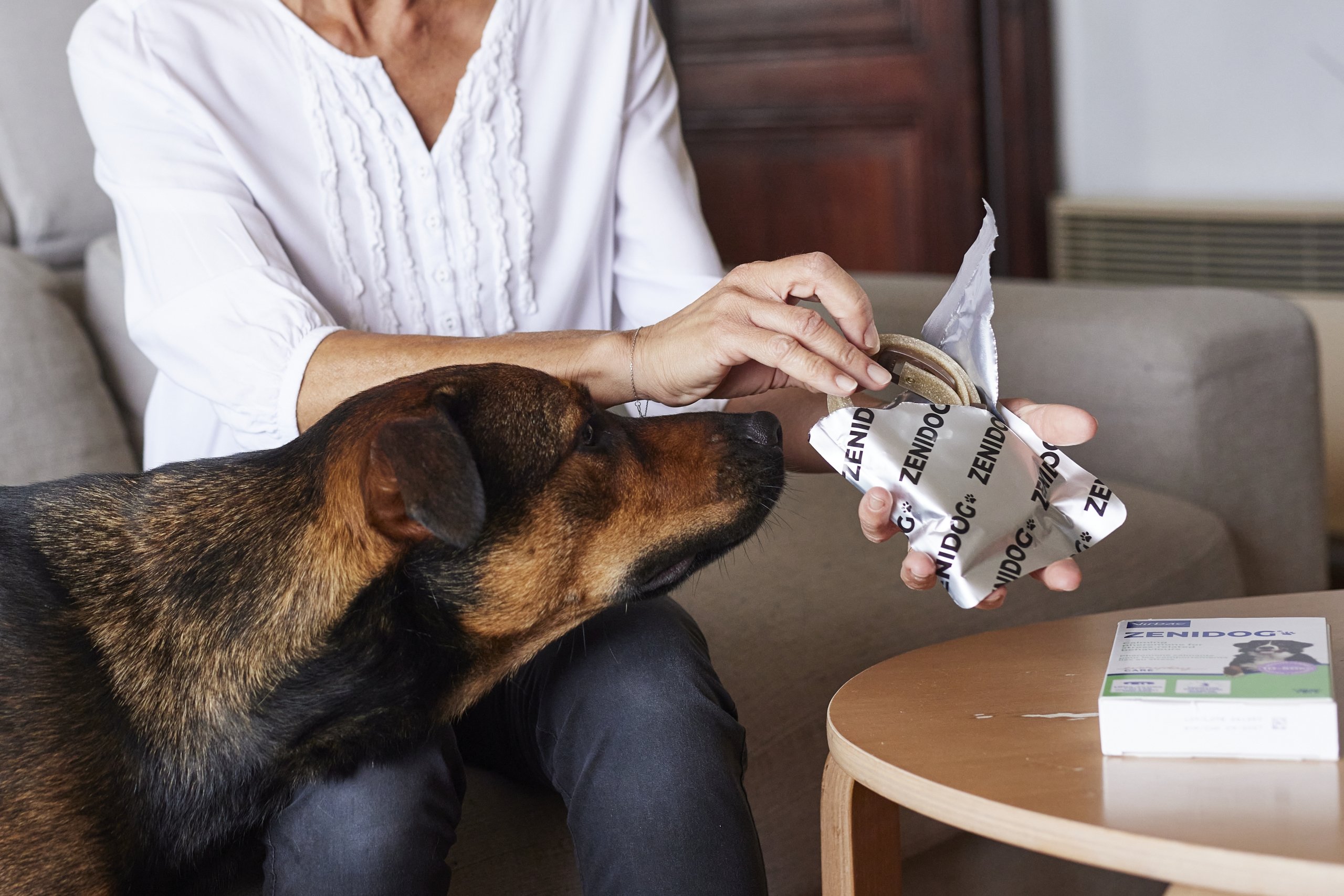 fenrir remote collar