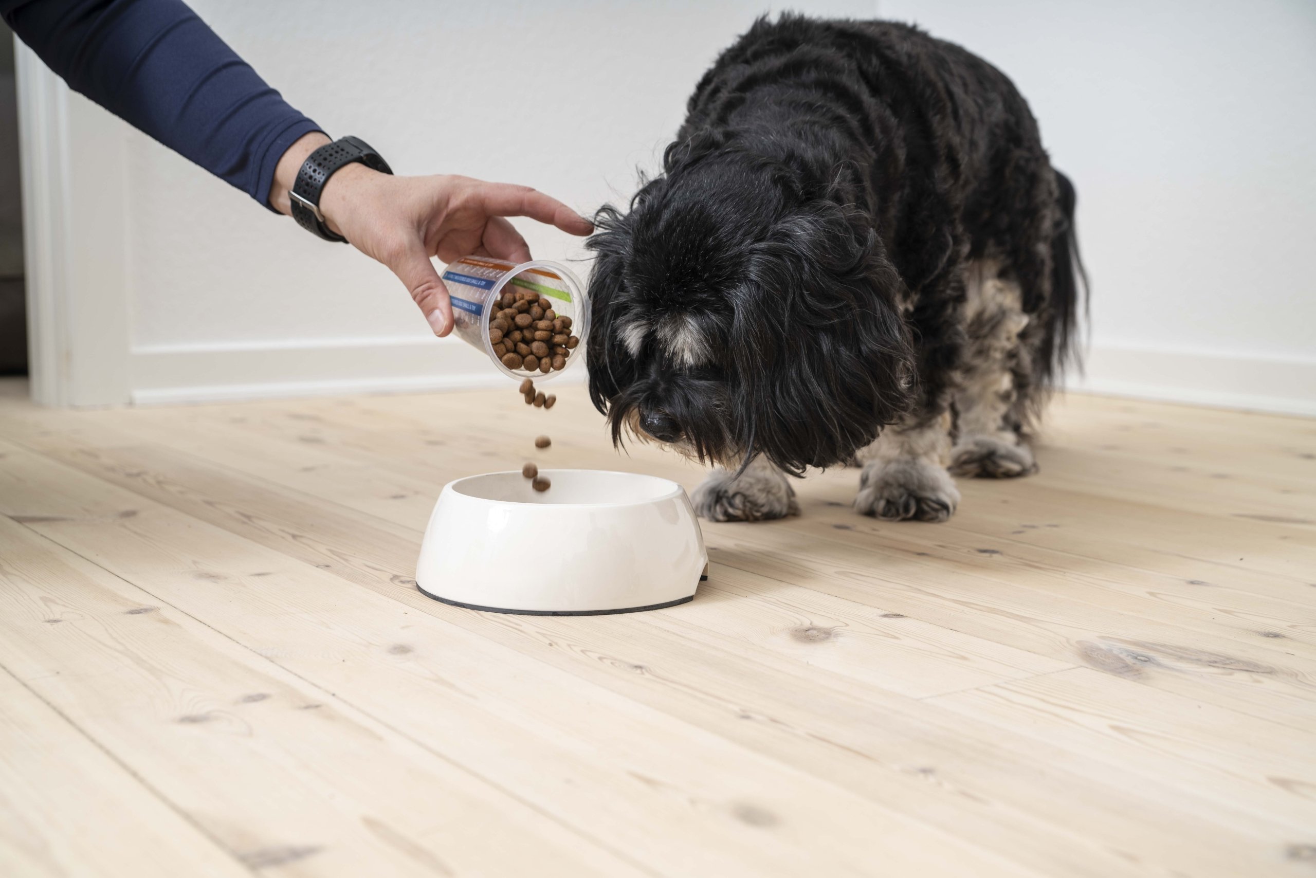 Adult Small & Toy – Dry Dog Food for Small & Toy Breeds - Virbac UK