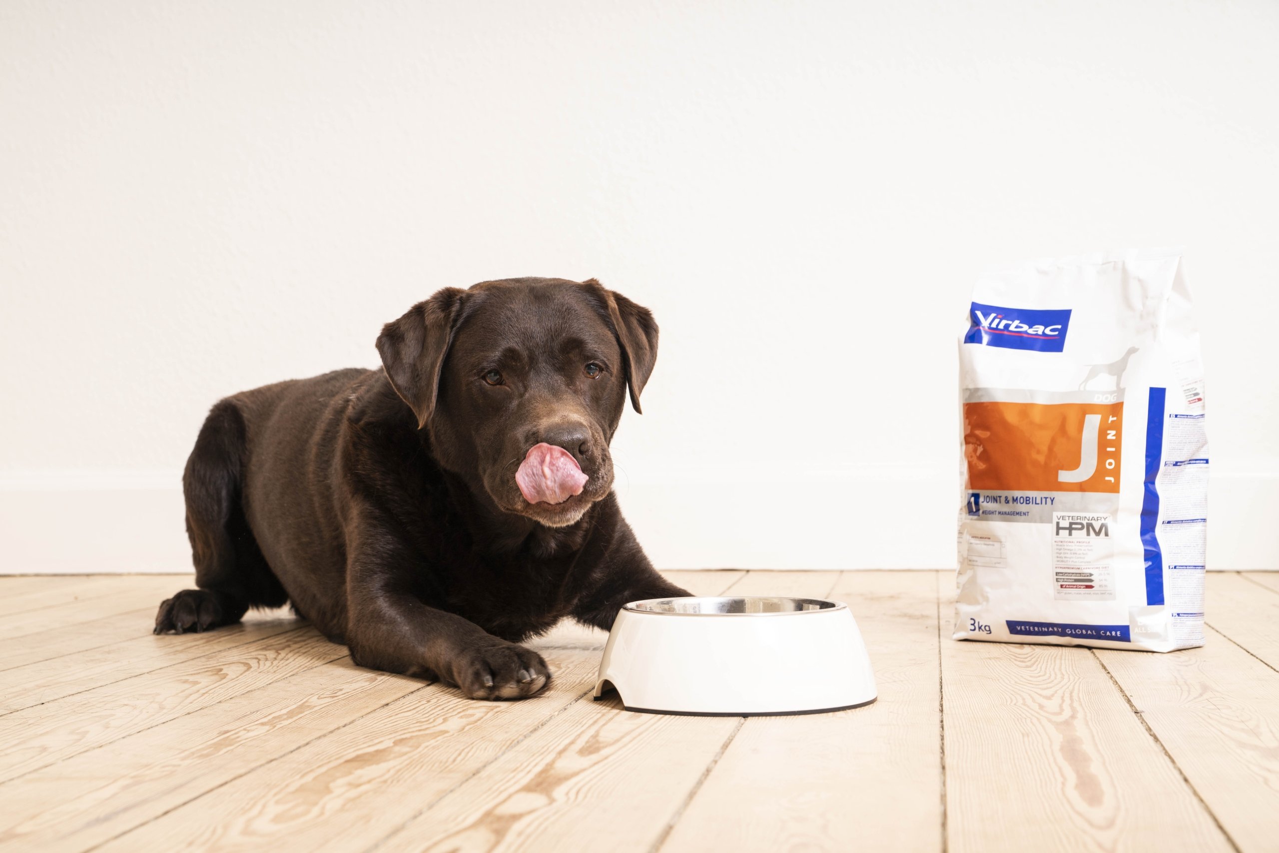 Joint & Mobility Dog Food J1 – Osteoarthritis Support - Virbac UK