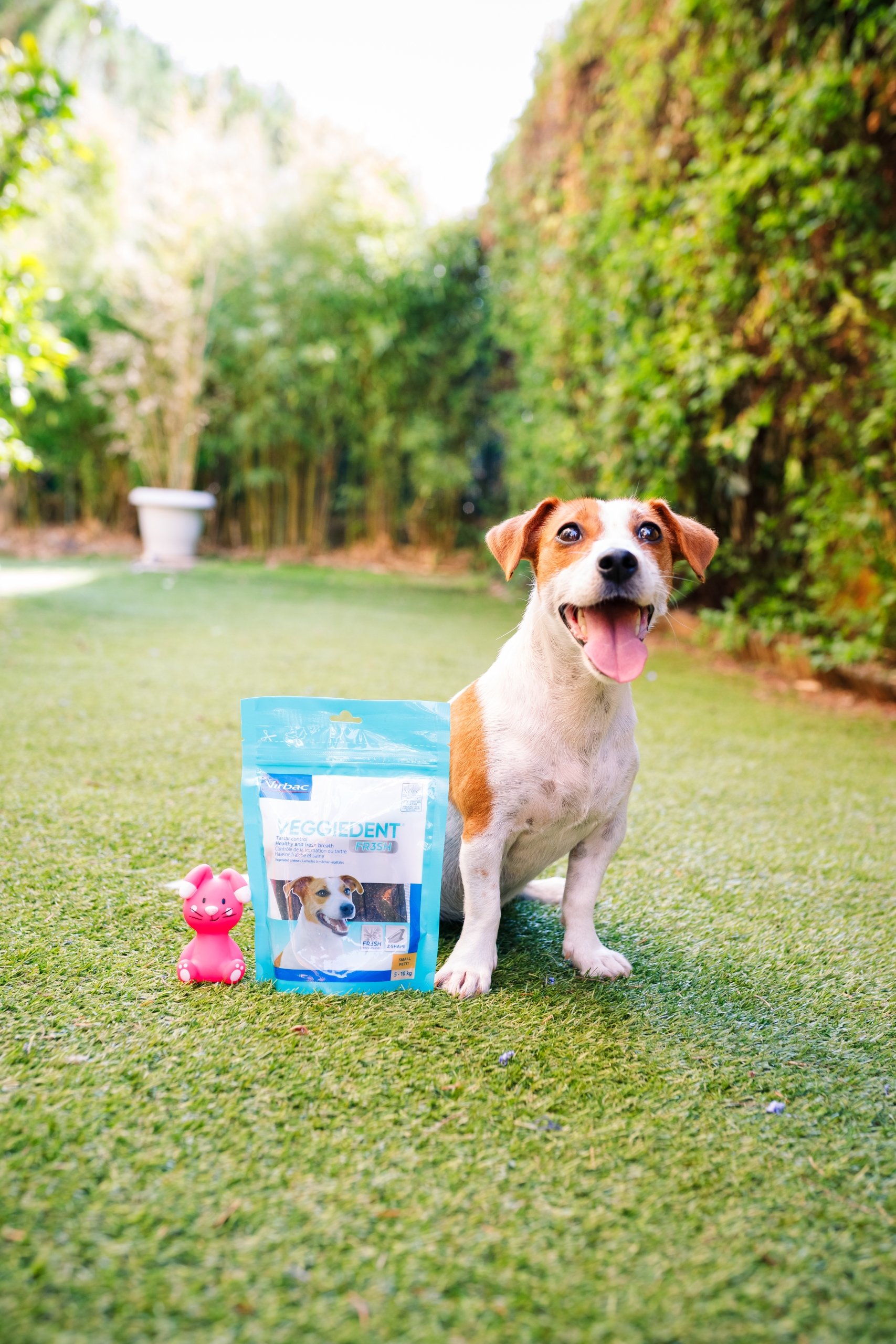 VEGGIEDENT® FR3SH™ Dental Chews For Dogs - Virbac UK