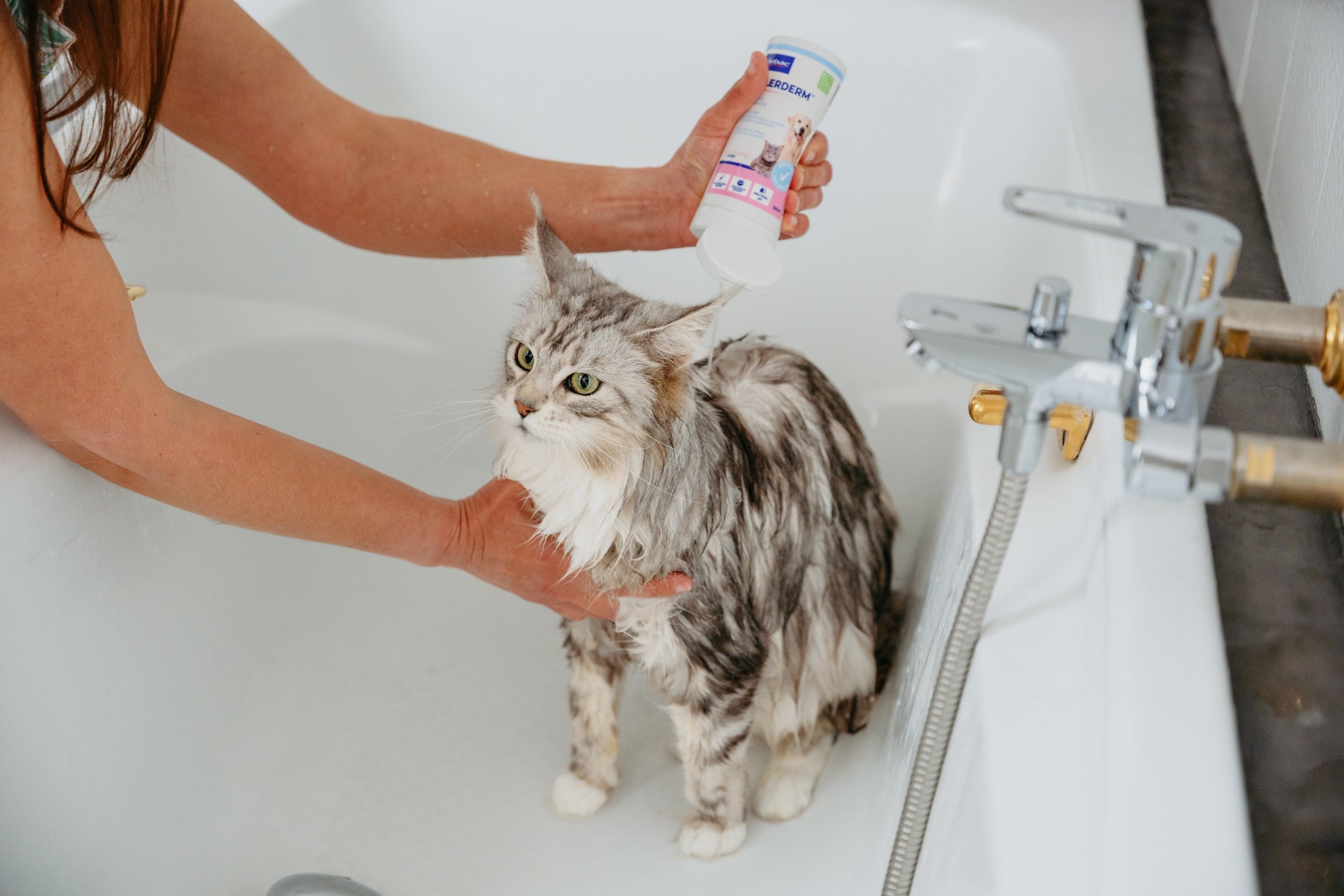 Allerderm Shampoo For Dogs & Cats - Sensitive Skin - Virbac UK