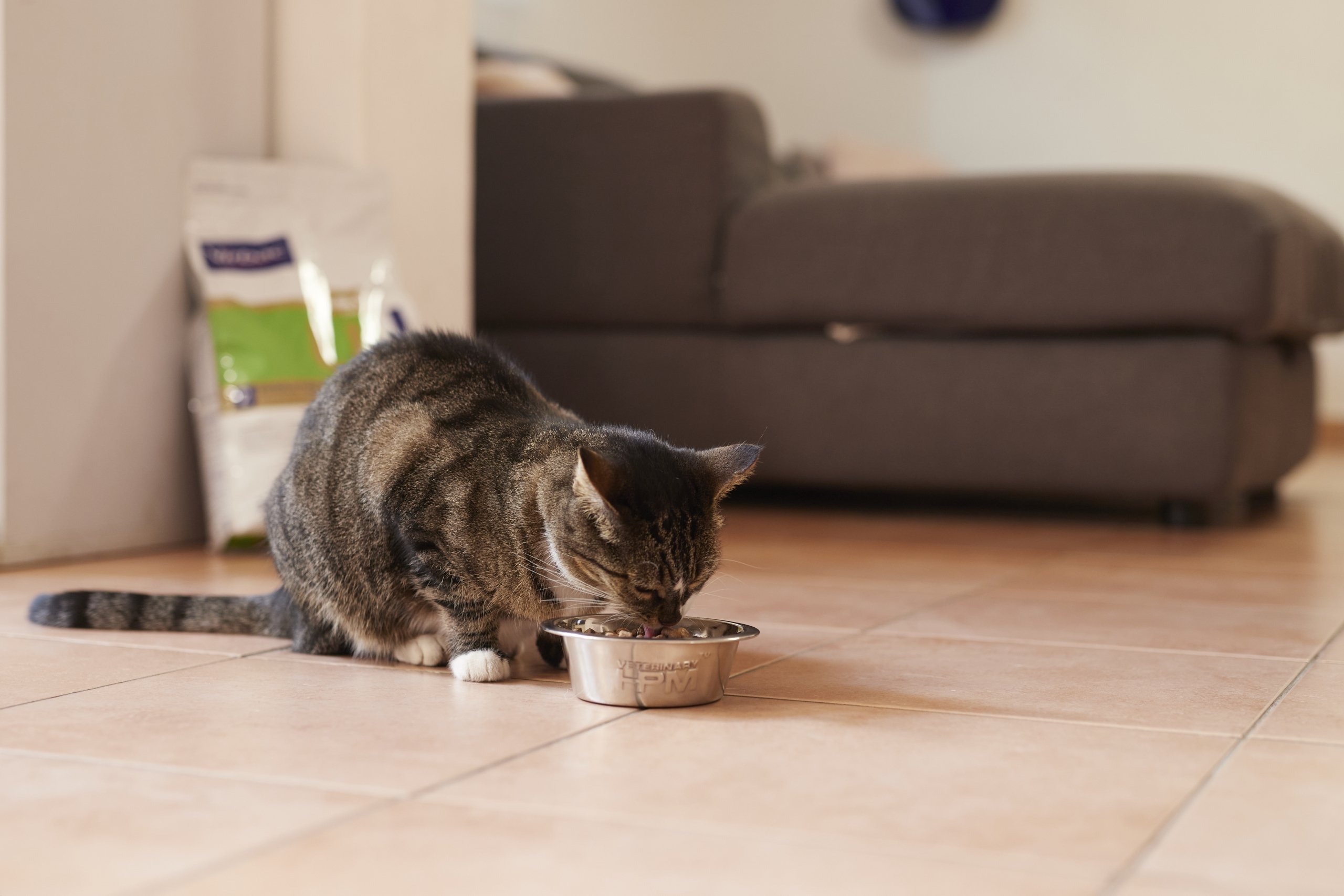 Urology Cat Food U2 - Dissolution & Prevention - Virbac UK