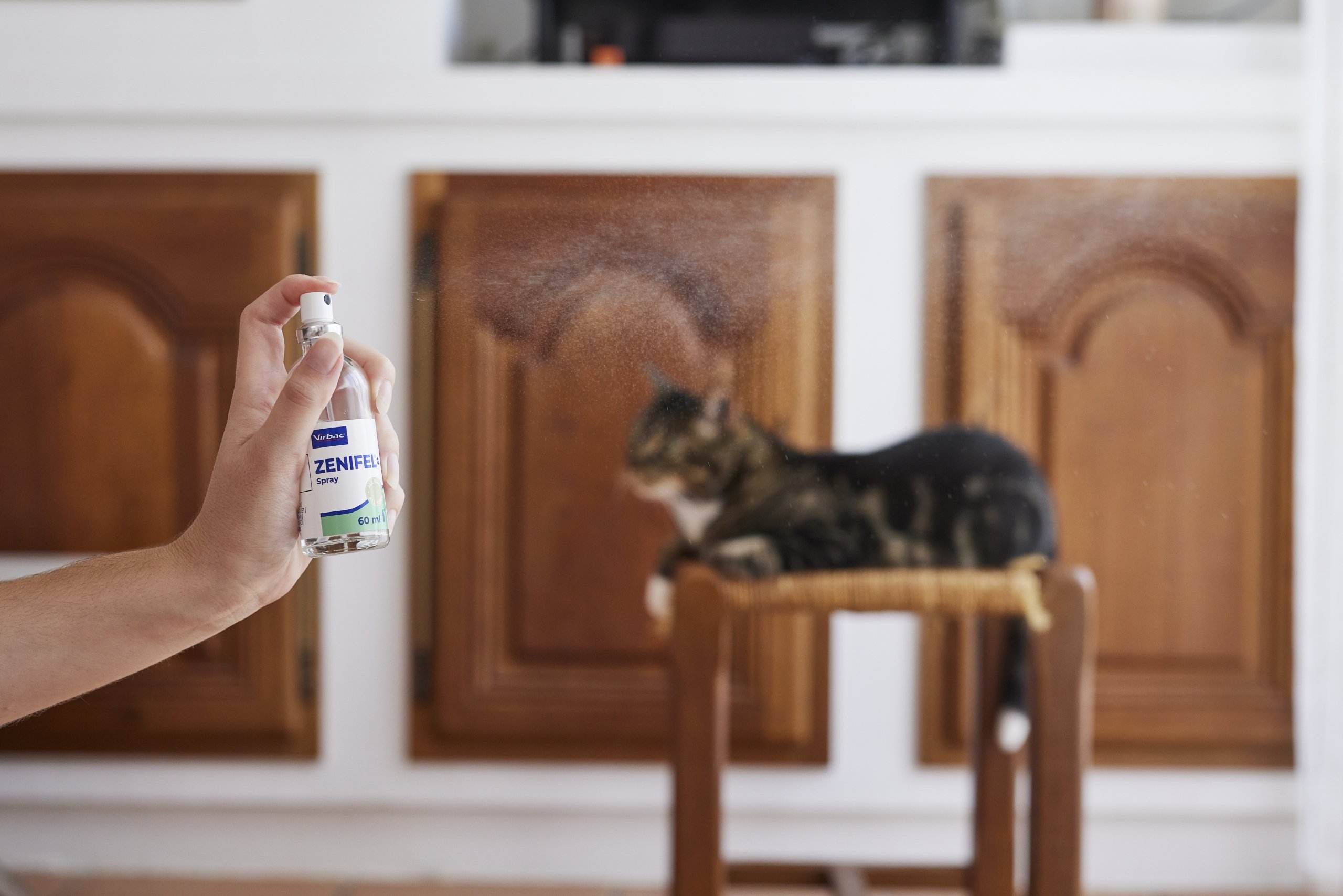 Zenifel Spray With Calming Pheromones For Cats - Virbac UK