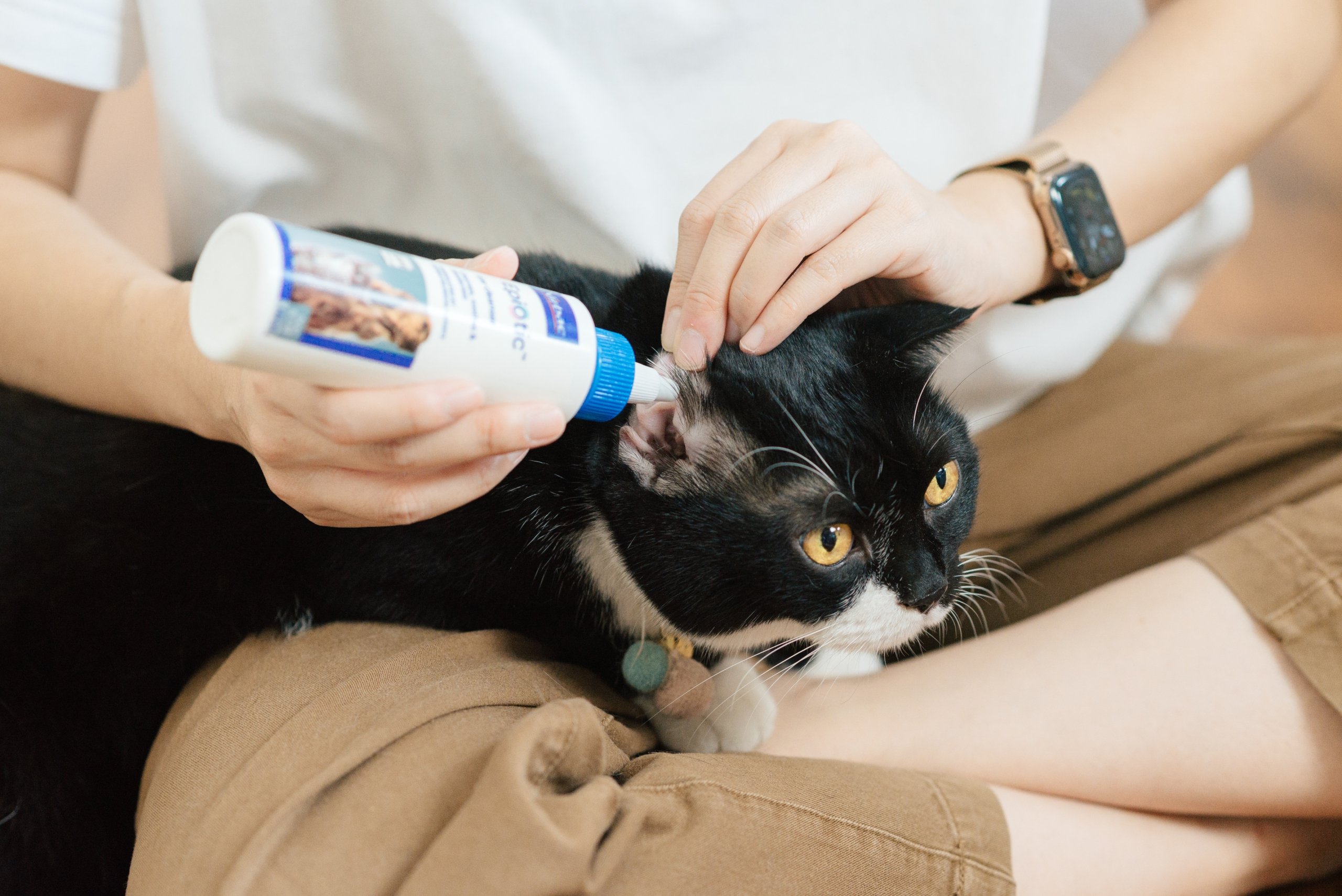 EpiOtic Ear Cleaner for Dogs & Cats - Cleans & Deodorises - Virbac UK