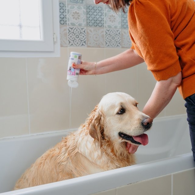 Allerderm Shampoo for Cats & Dogs - Dry & Scaly Skin - Virbac UK