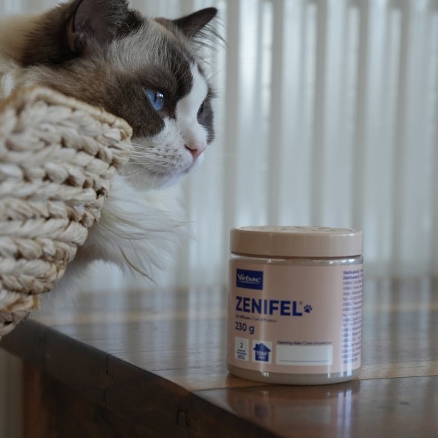 Zenifel Gel Diffuser with Calming Pheromones for Cats - Virbac UK