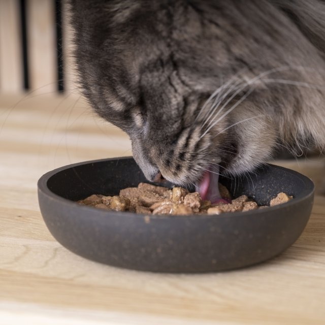 Digestive Support Cat Wet Food - For Sensitive Stomachs 12x85g - Virbac UK